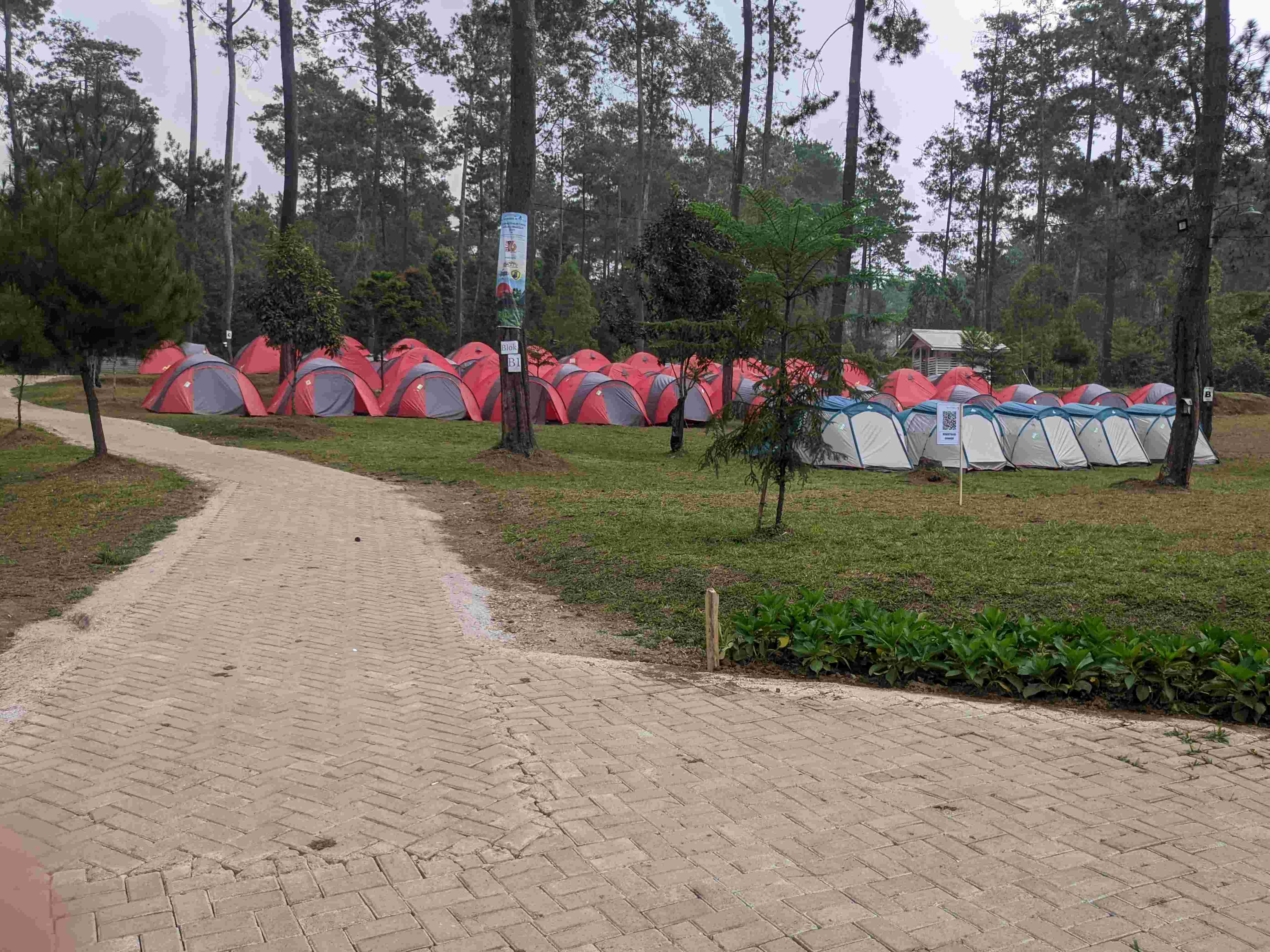 Outbound Kebon Pines Cikole Lembang